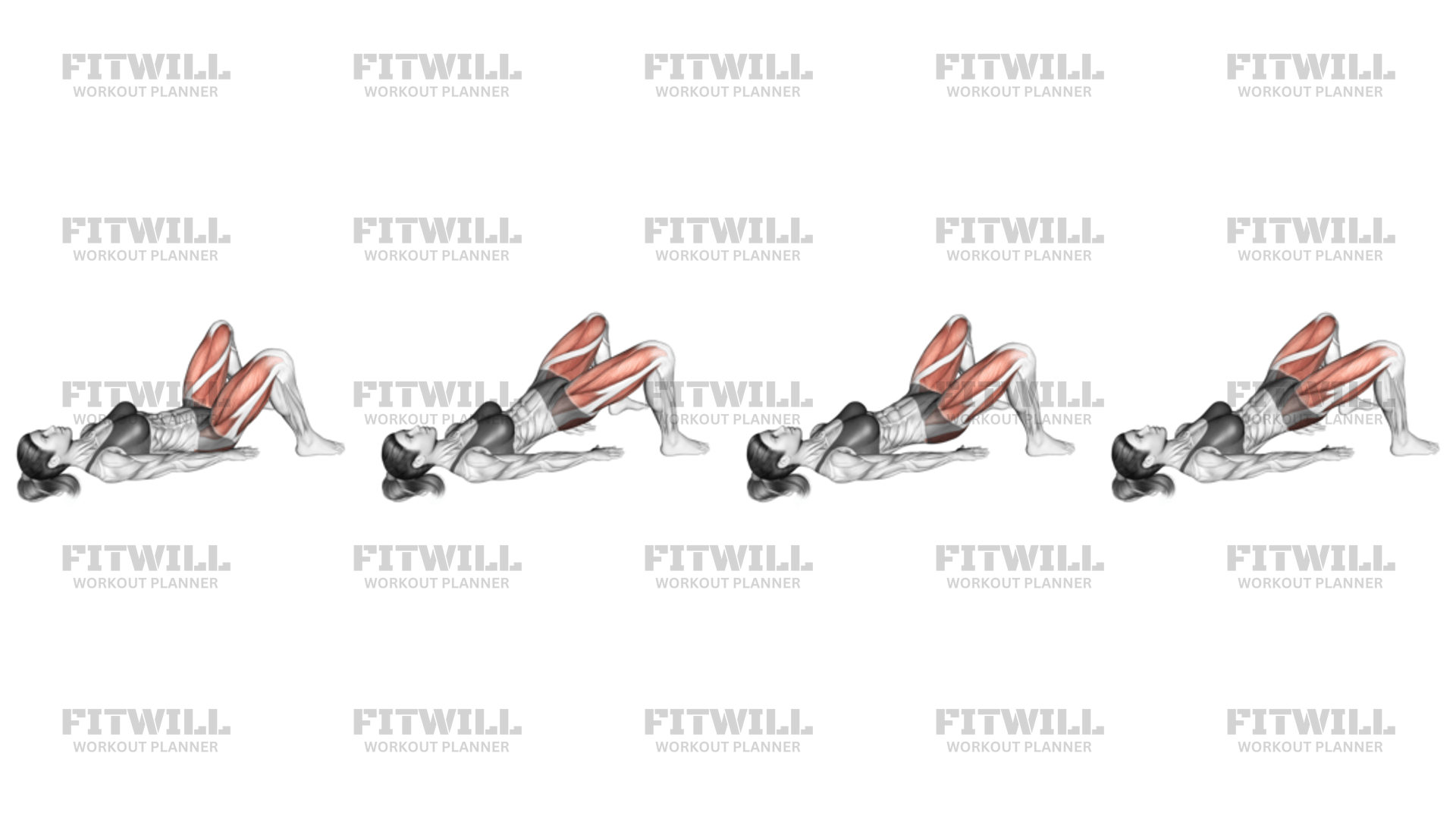 Wide Glute Pulse Bridge: Exercise Guide, Video, Techniques, Benefits ...