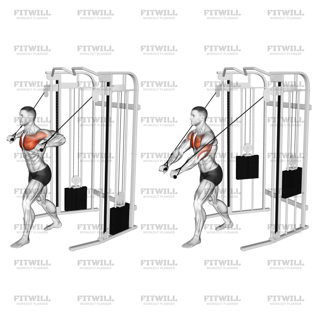 Cable Low Chest Press: Exercise Guide, Video, Techniques, Benefits, How ...