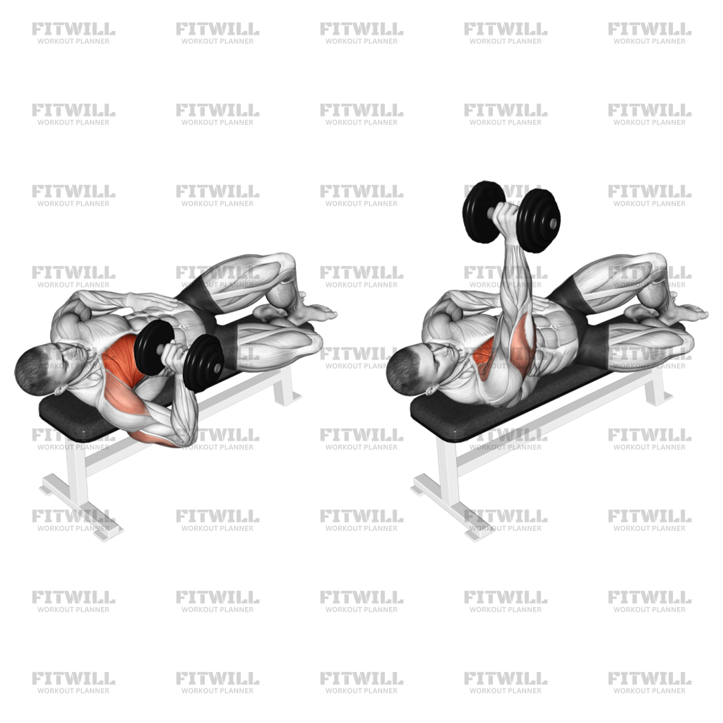 Dumbbell One Arm Side Lying Bench Press: Exercise Guide, Video ...