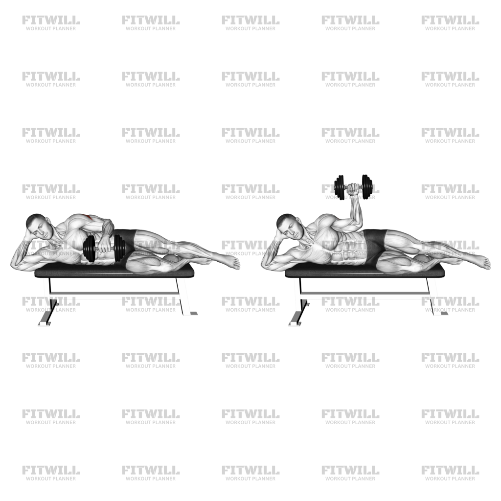 Dumbbell Side Lying External Rotation (on A Bench): Exercise Guide ...