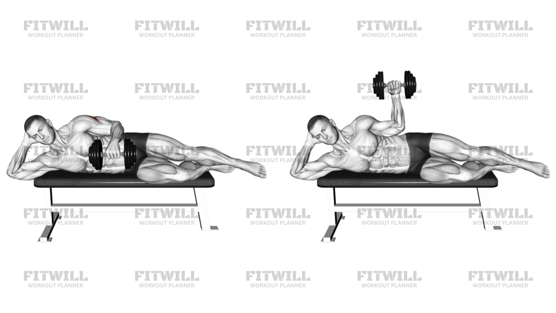 Dumbbell Side Lying External Rotation (on A Bench): Exercise Guide ...