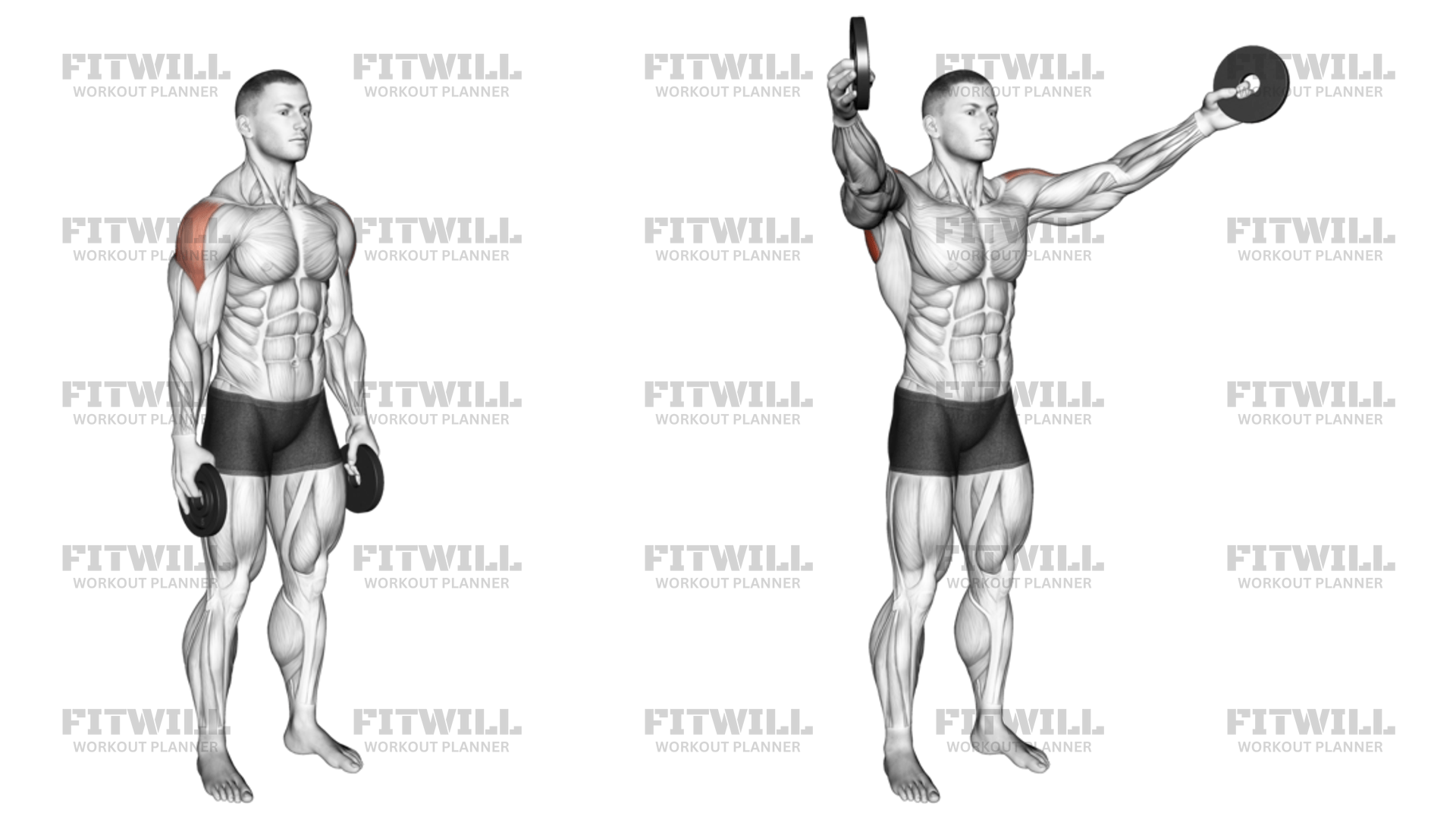 Weighted Full Can Exercise: Exercise Guide, Video, Techniques, Benefits ...