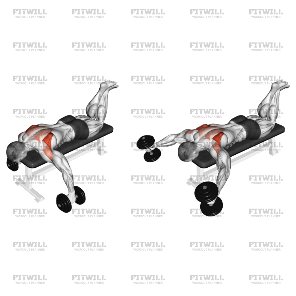 Dumbbell Prone Full Can Exercise: Exercise Guide, Video, Techniques ...