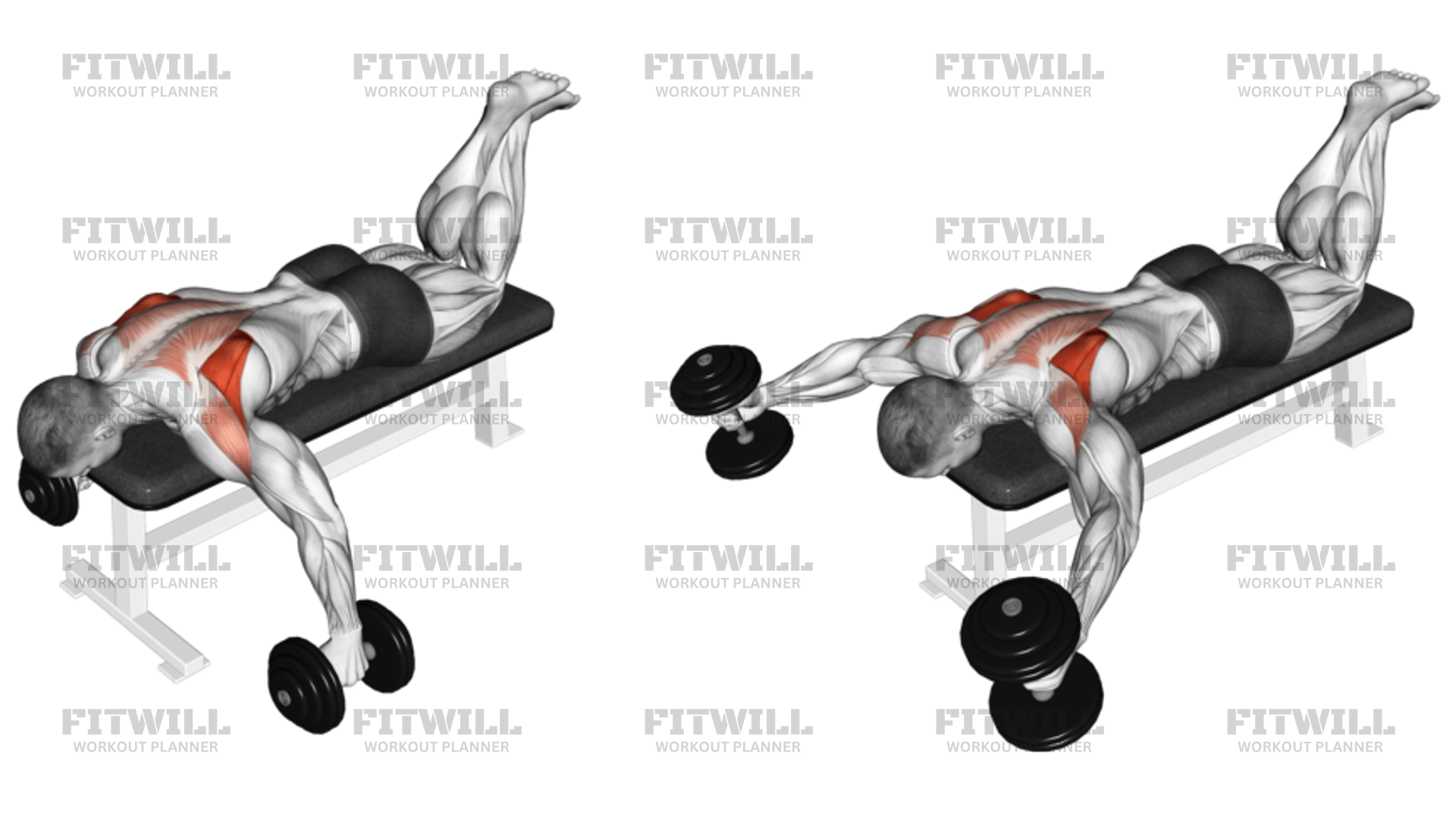 Dumbbell Prone Full Can Exercise: Exercise Guide, Video, Techniques ...