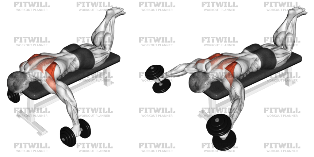 Dumbbell Prone Full Can Exercise: Exercise Guide, Video, Techniques ...