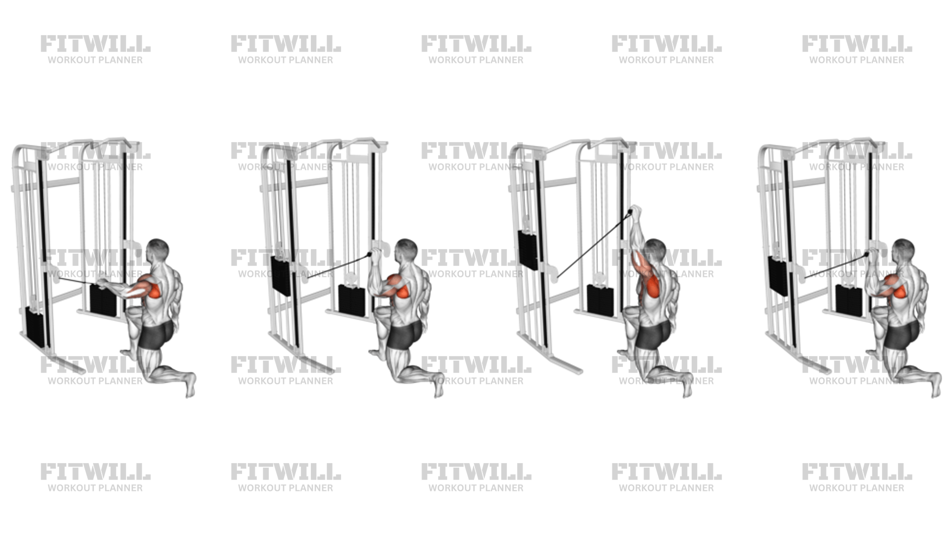Cable Kneeling Shoulder 90 Degrees External Rotation Press: Exercise ...