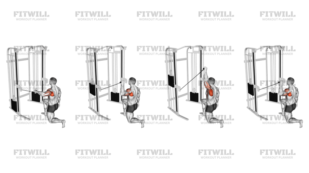 Cable Kneeling Shoulder 90 Degrees External Rotation Press: Exercise ...