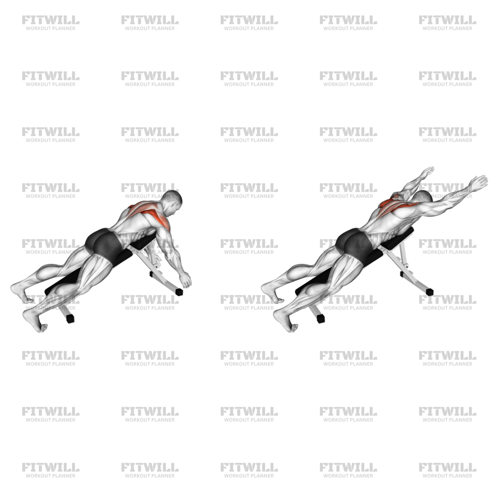 Prone Y Raise: Exercise Guide, Video, Techniques, Benefits, How to, Muscles Worked, Tips ...