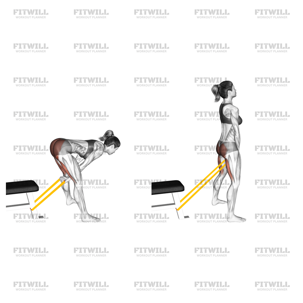 Resistance Band Pull Through: Exercise Guide, Video, Techniques ...