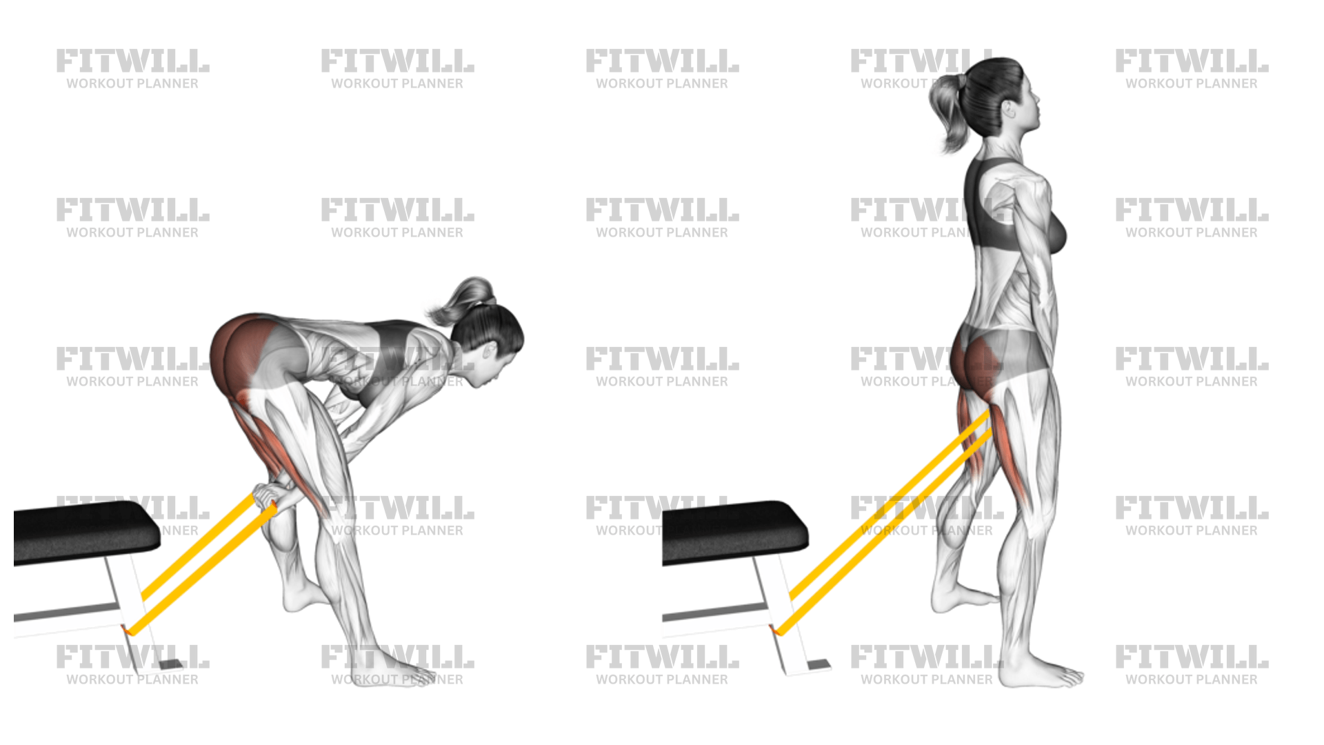 Resistance Band Pull Through: Exercise Guide, Video, Techniques ...