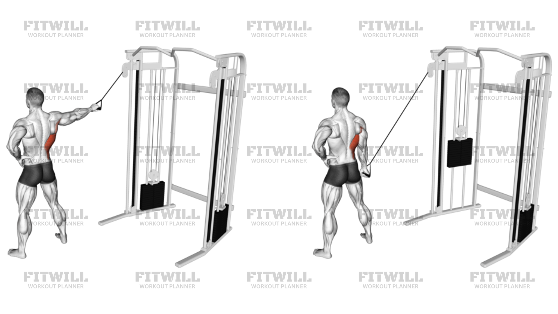 Single Arm Side Straight Arm Lat Pulldown: Exercise Guide, Video ...