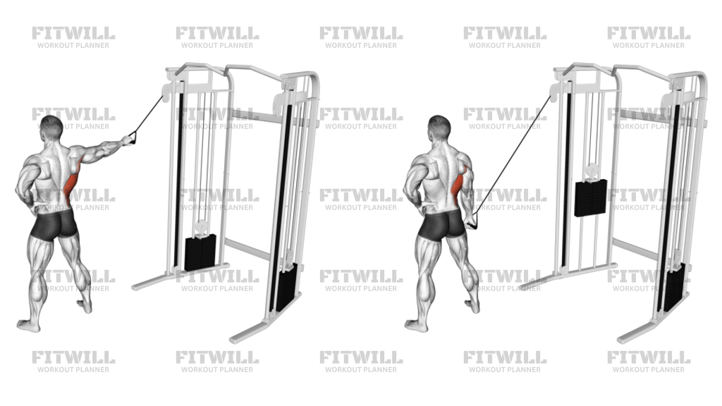 How to do Single Arm Side Straight Arm Lat Pulldown: Techniques ...