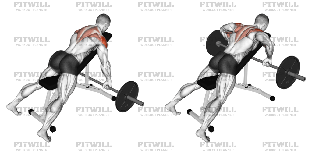 Barbell Incline Rear Delt Row: Exercise Guide, Video, Techniques ...