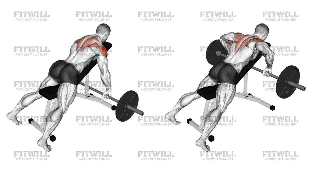 Barbell Incline Rear Delt Row: Exercise Guide, Video, Techniques, Benefits, How to, Muscles ...