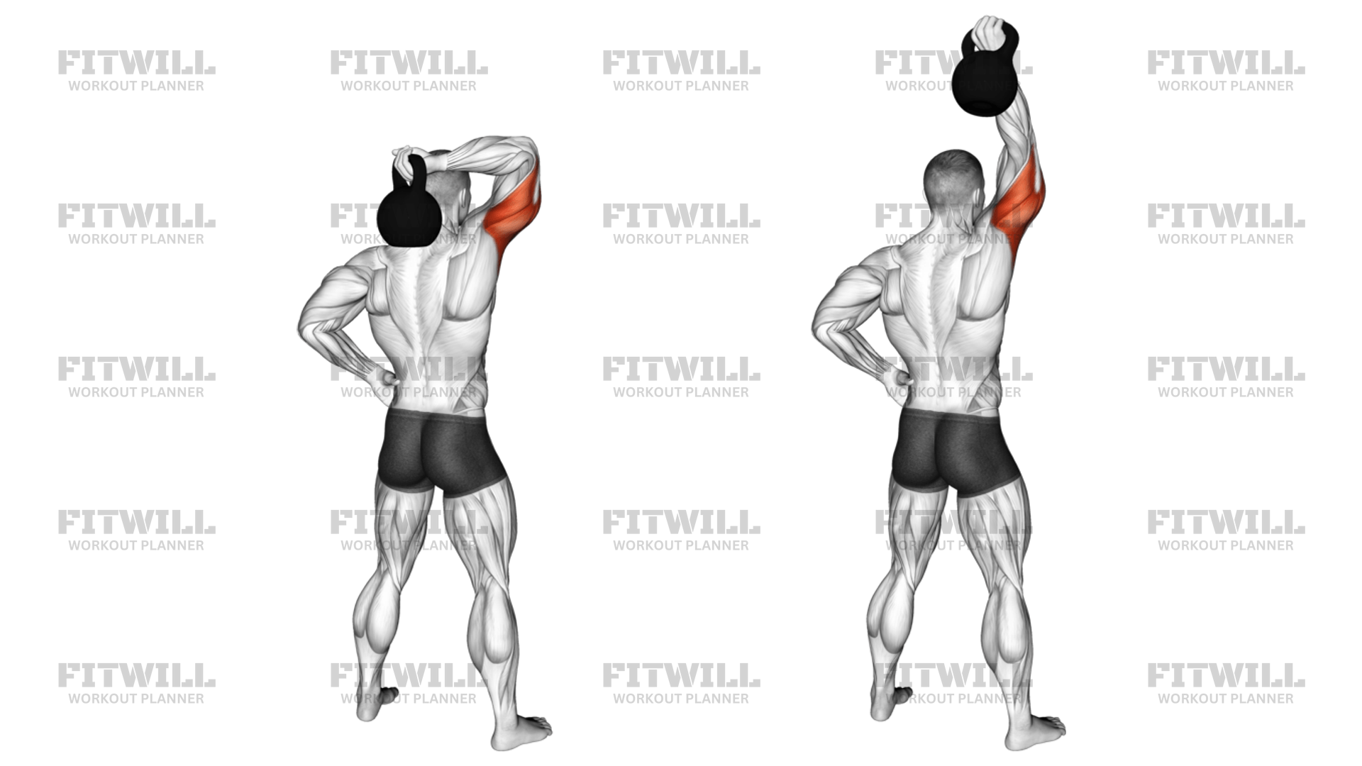 Kettlebell Standing One Arm Extension: Exercise Guide, Video, Techniques, Benefits, How to ...