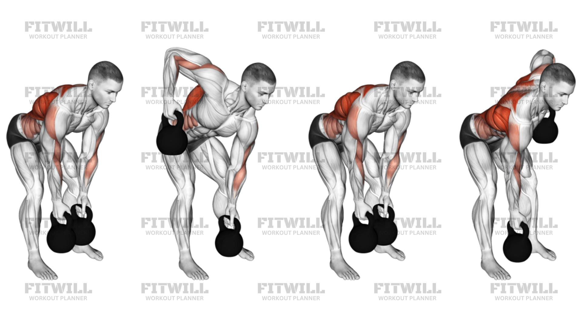 Kettlebell Bent Over Alternate Twist Row: Exercise Guide, Video ...