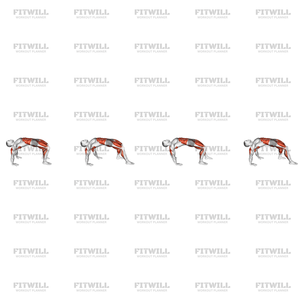 Crab Walk: Exercise Guide, Techniques, Benefits, How to, Muscles Worked ...
