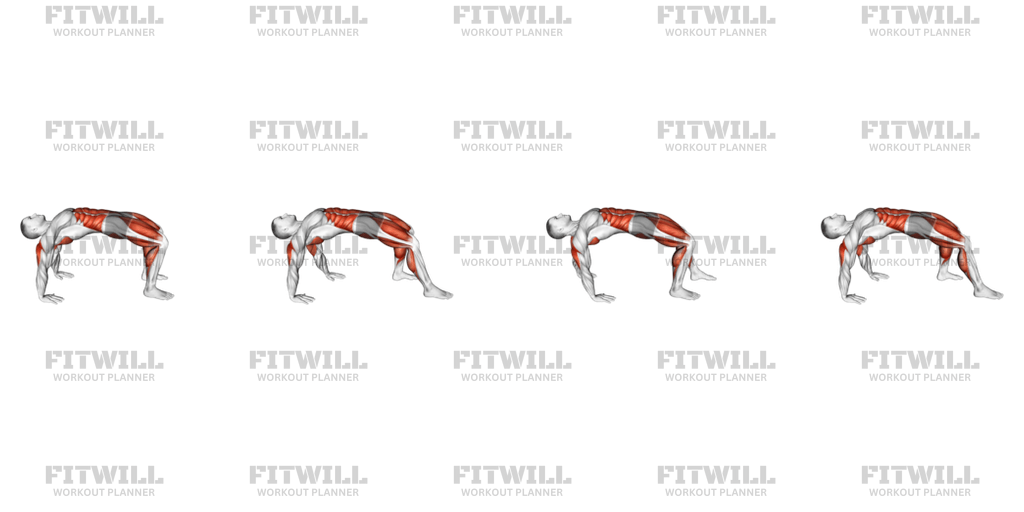 Crab Walk: Exercise Guide, Techniques, Benefits, How to, Muscles Worked ...