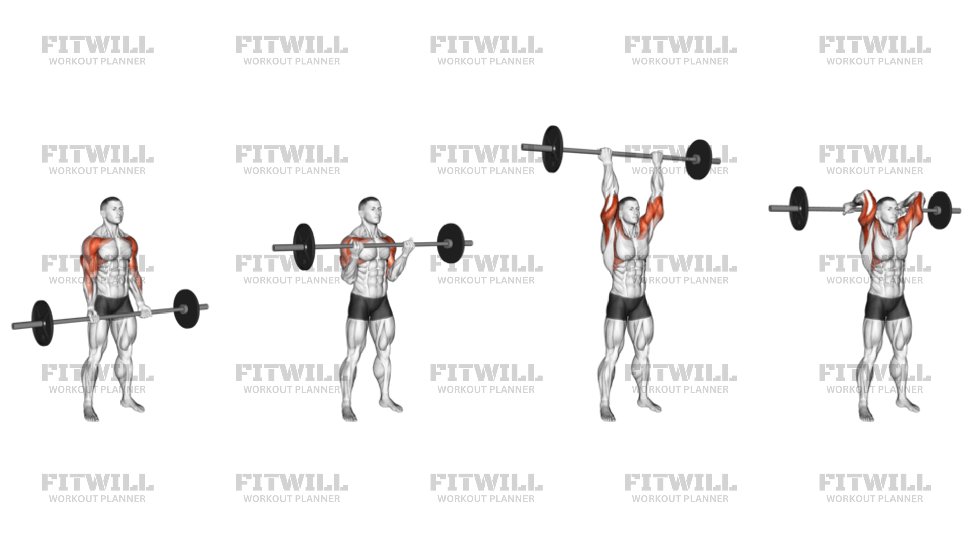 Extensión De Curl Con Press De Barra: Guía de Ejercicios, Video ...