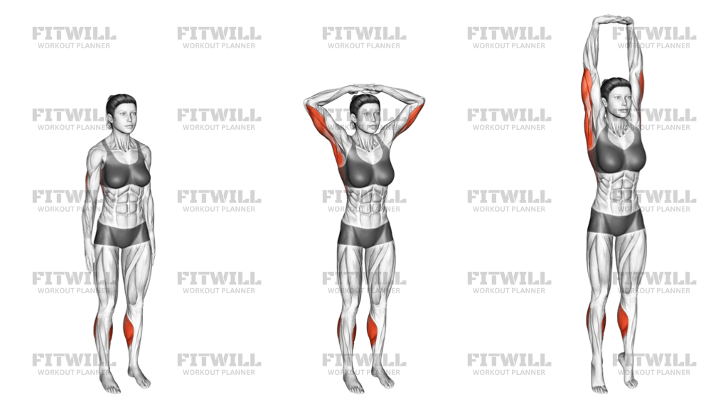 How to do Mountain Pose: Techniques, Benefits, Tips & Tricks | Fitwill