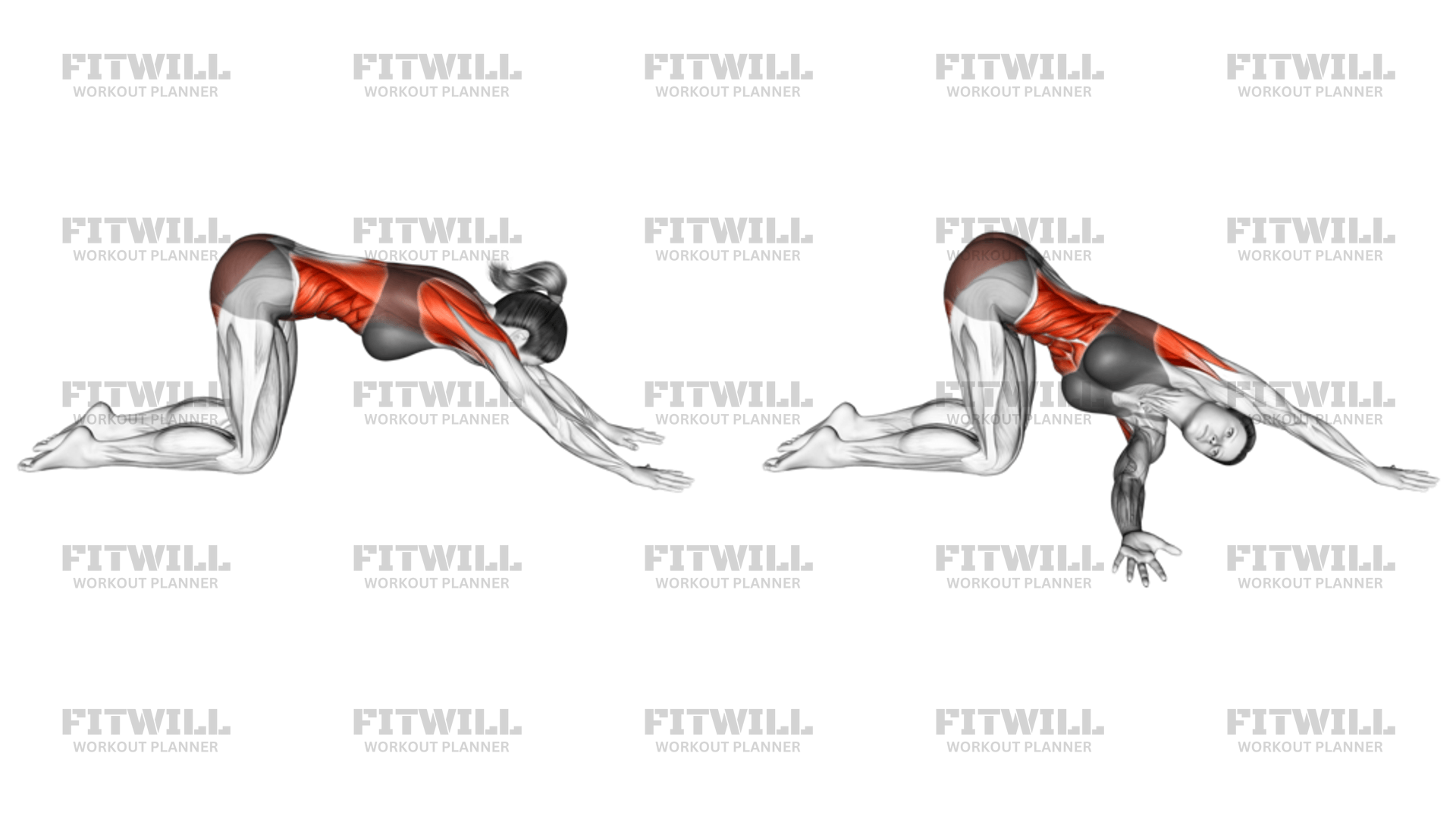 Thread The Needle Pose: Exercise Guide, Video, Techniques, Benefits ...