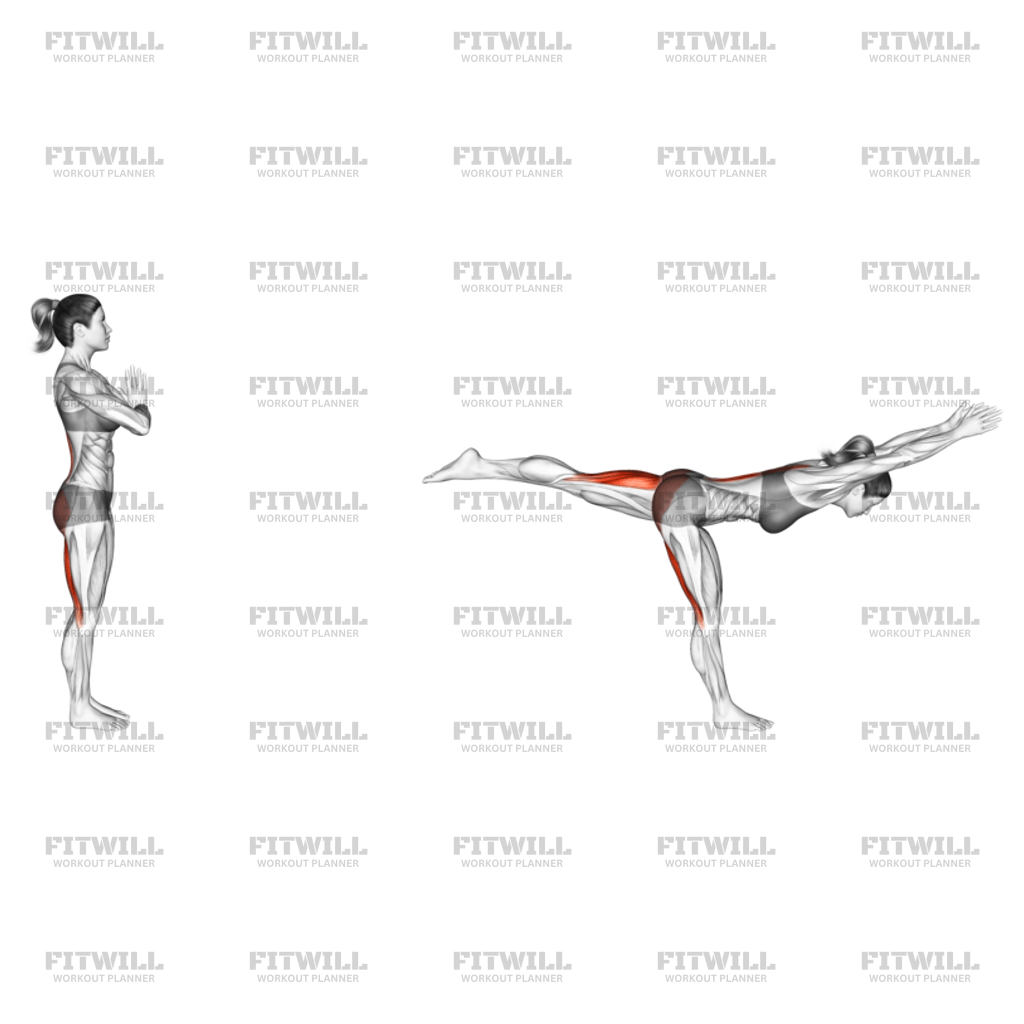 Warrior III Pose: Exercise Guide, Video, Techniques, Benefits, How to ...