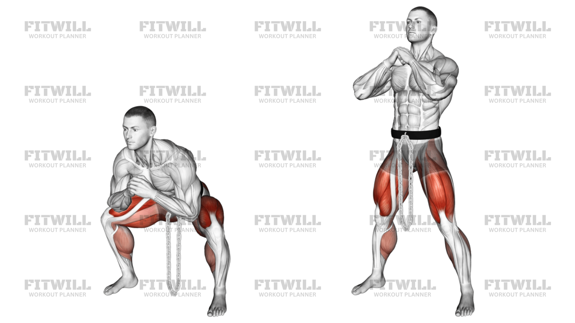 Weighted Chain Sumo Deadlift: Exercise Guide, Video, Techniques ...