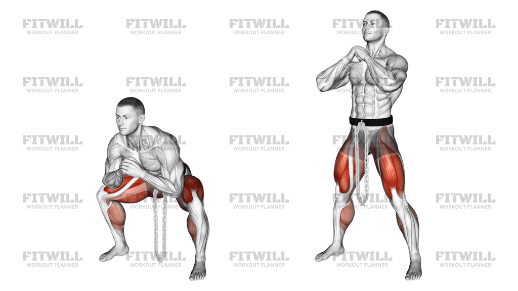 Weighted Chain Sumo Deadlift: Exercise Guide, Video, Techniques ...