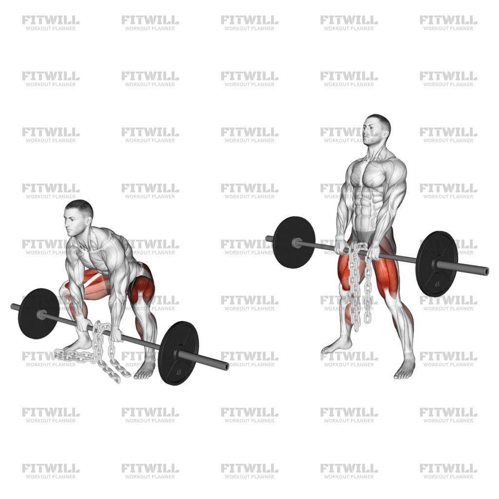 Barbell Weighted Chains Sumo Deadlift: Exercise Guide, Techniques ...