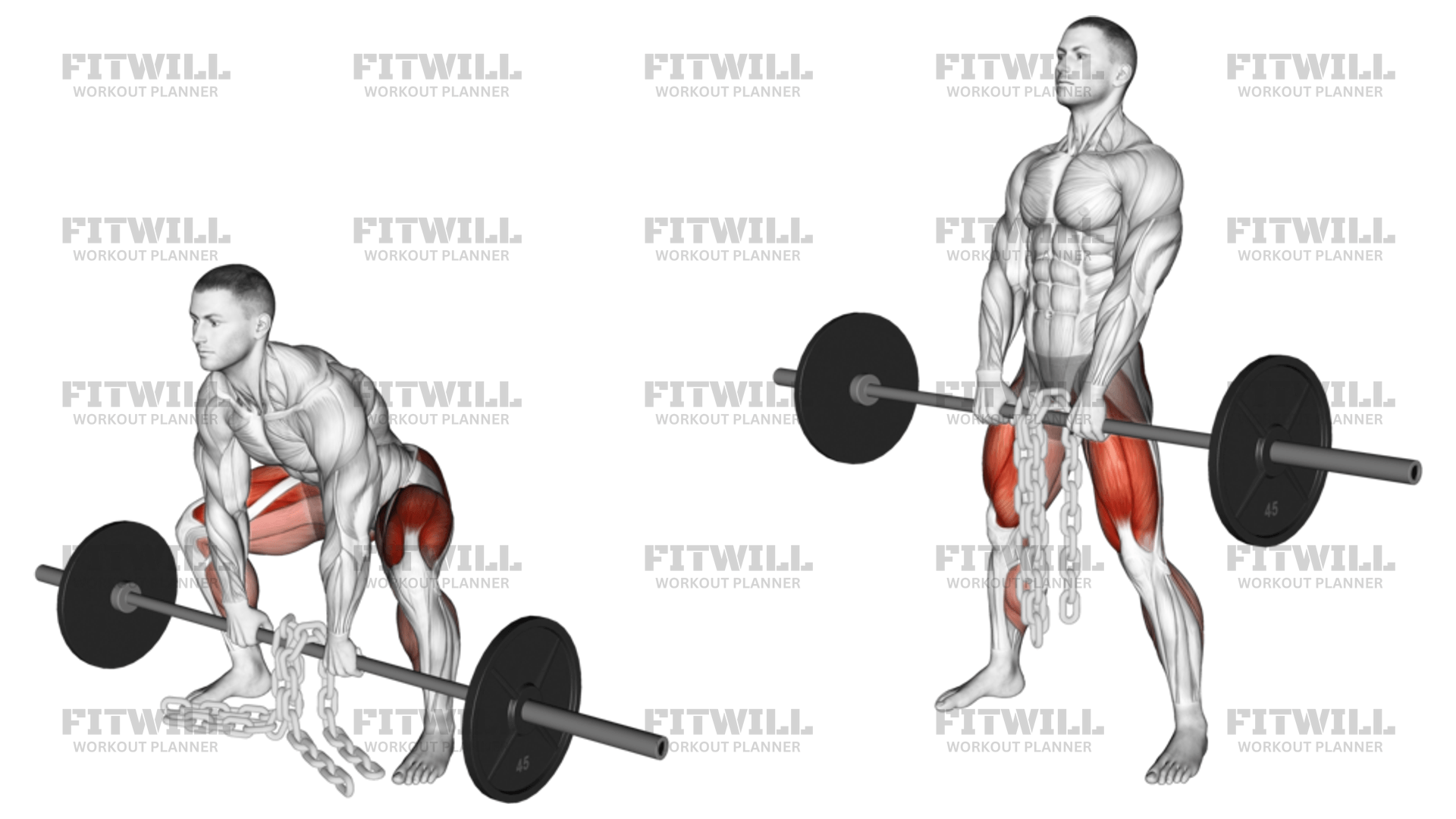 Levantamento Terra Sumo Com Correntes E Barra: Guia de Exercícios ...