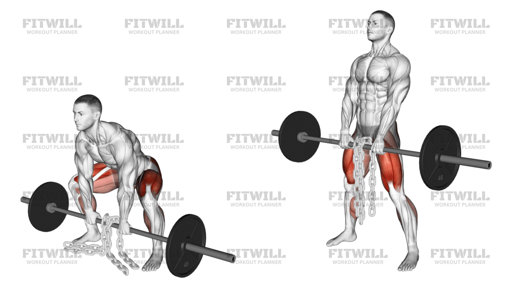 Barbell Weighted Chains Sumo Deadlift: Exercise Guide, Techniques ...