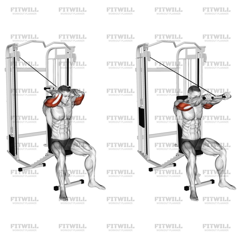 Cable Seated High Pulley Overhead Triceps Extension: Exercise Guide ...