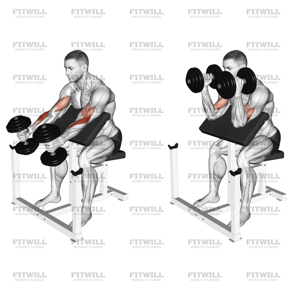 Dumbbell Hammer Preacher Curl: Exercise Guide, Video, Techniques ...