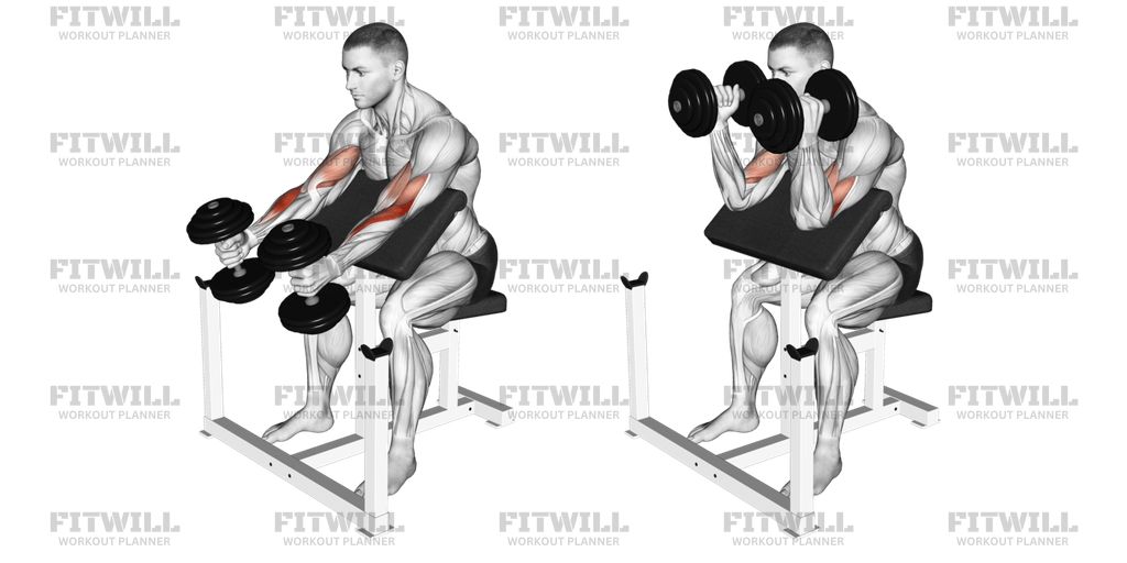 Dumbbell Hammer Preacher Curl: Exercise Guide, Video, Techniques ...
