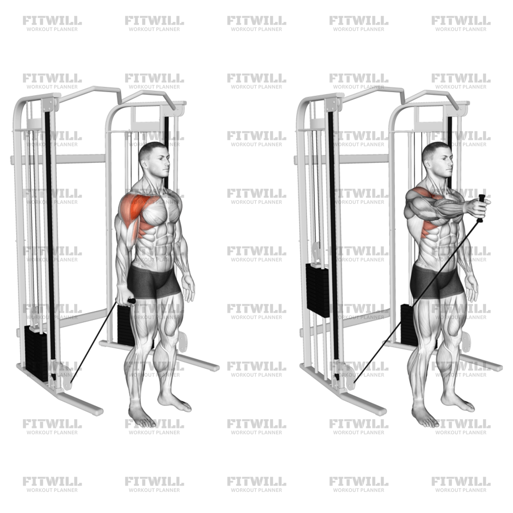 Cable Single Arm Neutral Grip Front Raise: Exercise Guide, Video ...