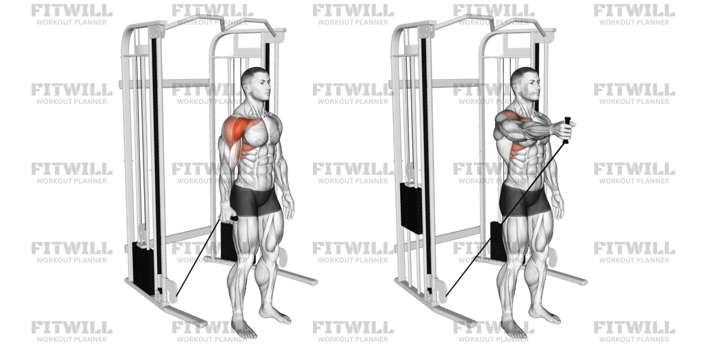Cable Single-Arm Neutral Grip Front Raise: Exercise Guide, Video ...
