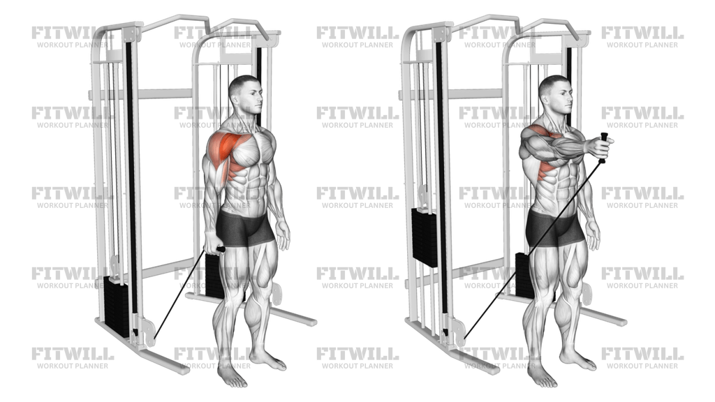 Cable Single Arm Neutral Grip Front Raise: Exercise Guide, Video ...