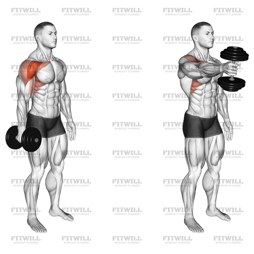 Elevación Frontal Con Mancuerna A Un Brazo Y Agarre Neutro: Guía de ...