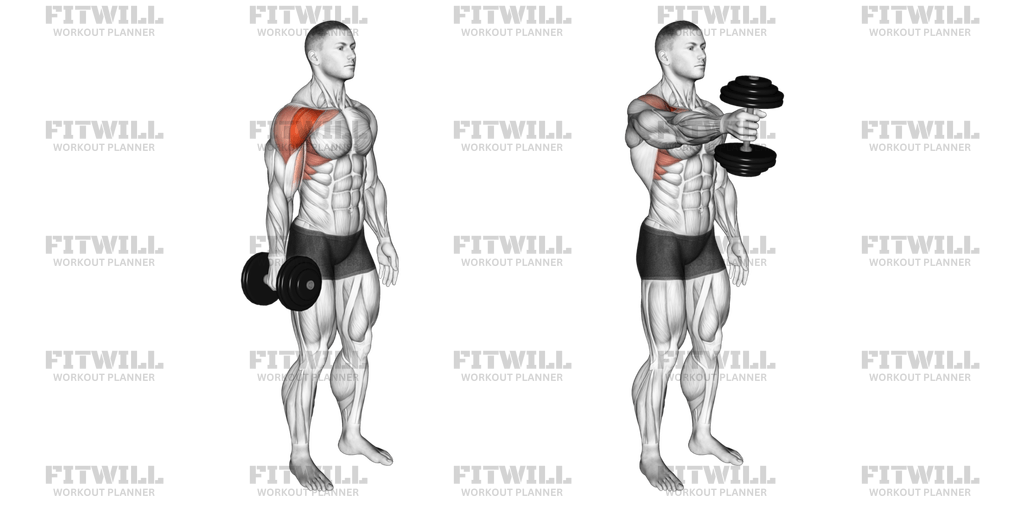 Dumbbell Single Arm Neutral Grip Front Raise: Guide, Techniques ...