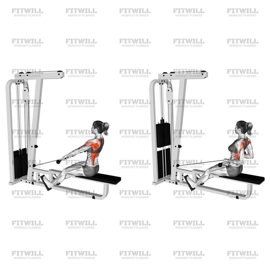 Cable Low Seated Row: Exercise Guide, Video, Techniques, Benefits, How ...