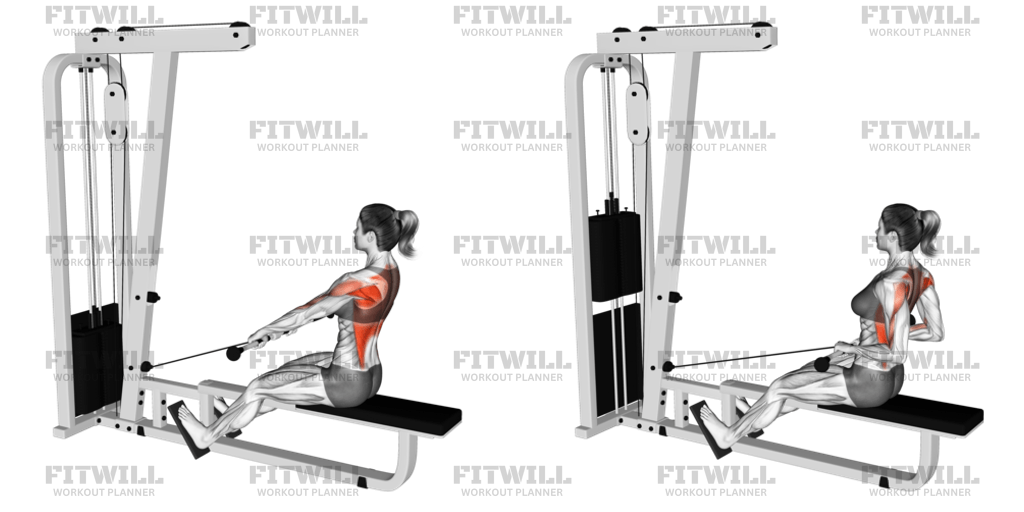 Cable Low Seated Row: Exercise Guide, Video, Techniques, Benefits, How ...
