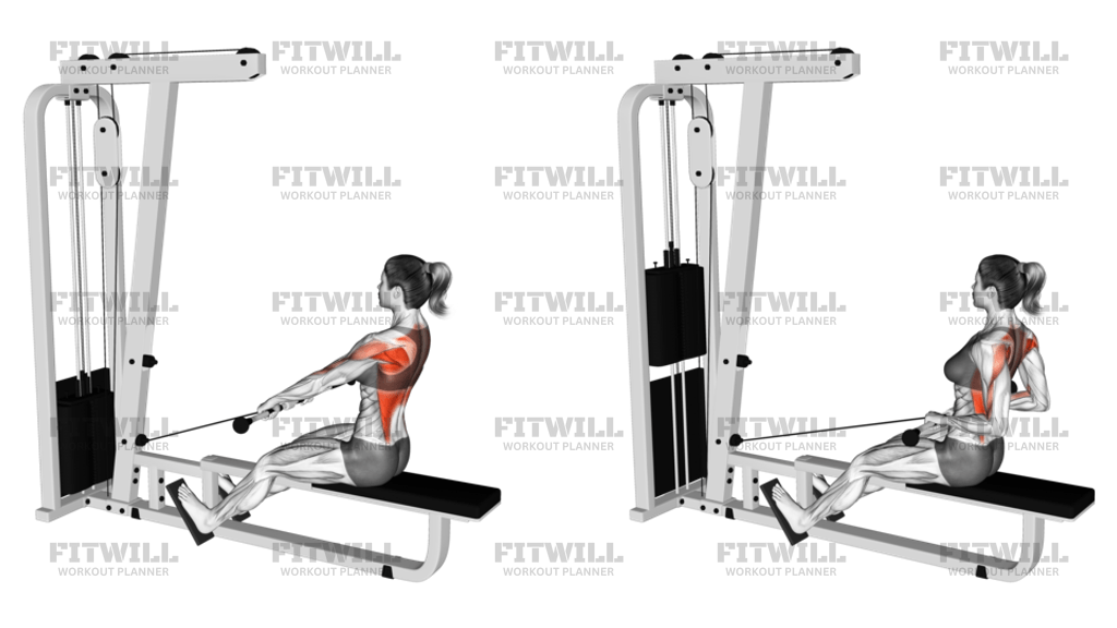 How to do Cable Low Seated Row: Techniques, Benefits, Tips & Tricks ...