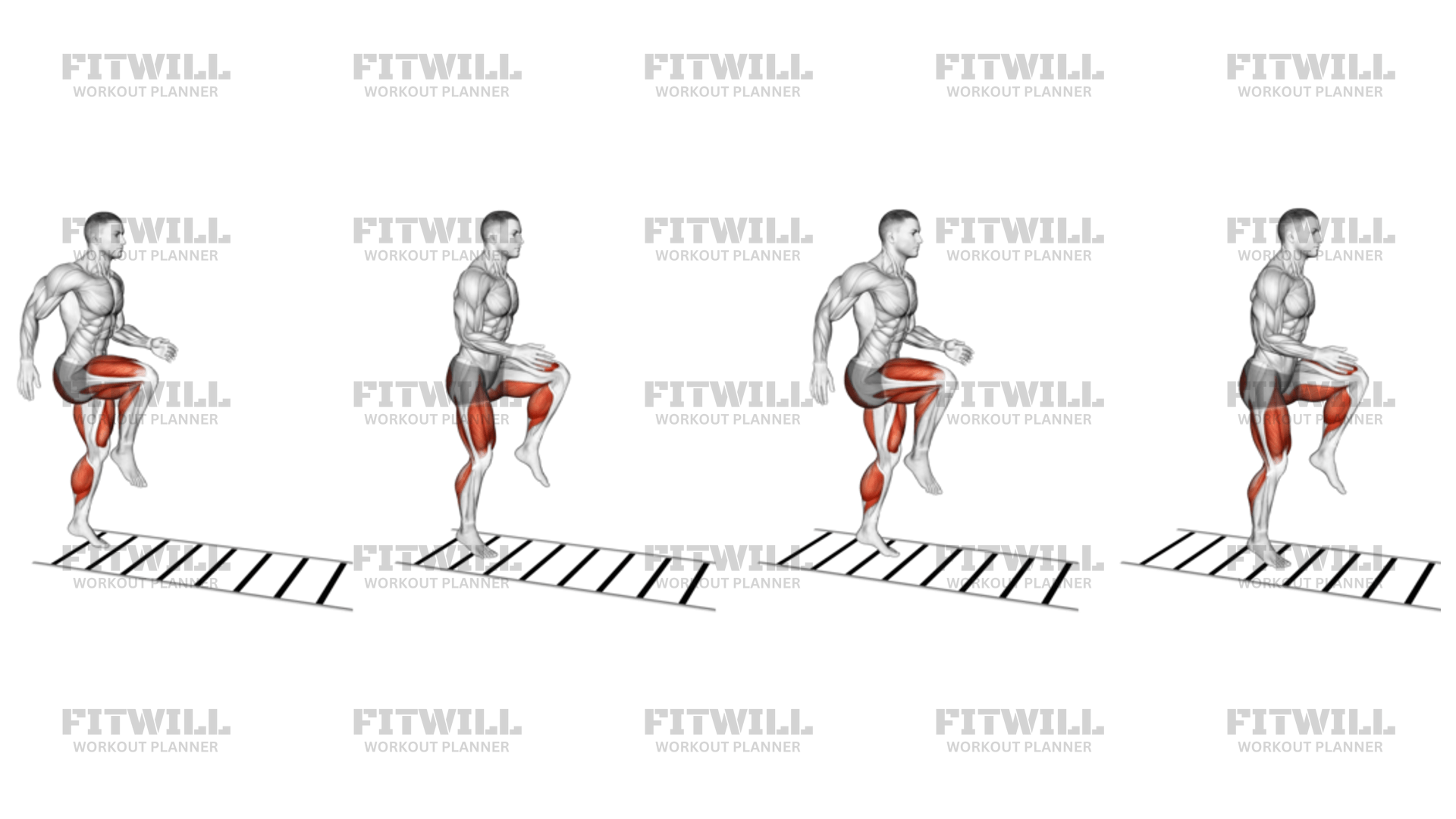 Plyometric Agility Drill: Exercise Guide, Techniques, Benefits, How to ...