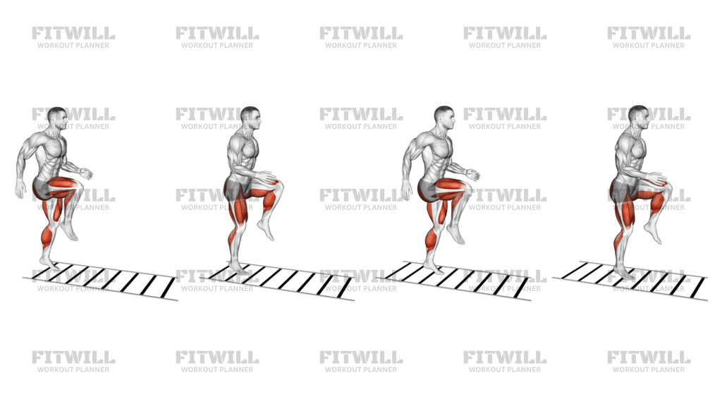 Plyometric Agility Drill: Exercise Guide, Techniques, Benefits, How to ...