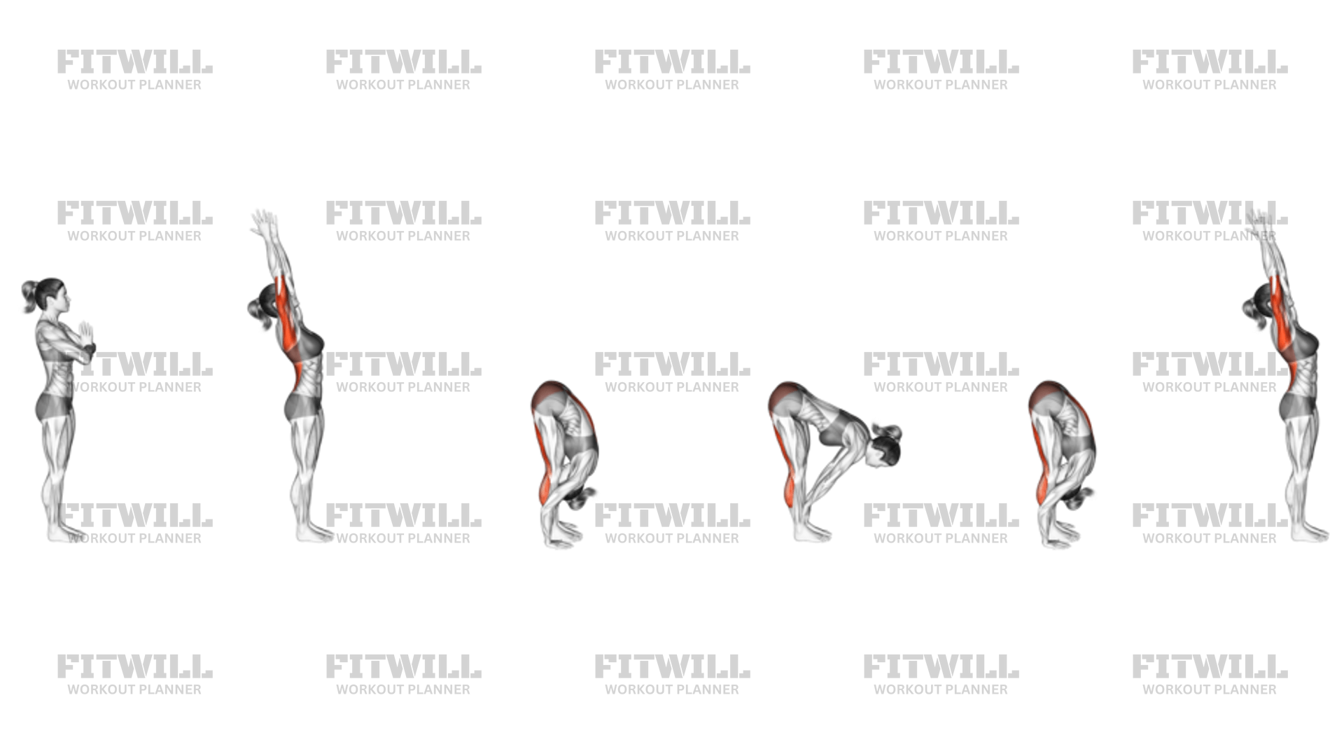 Half Sun Salutation: Exercise Guide, Techniques, Benefits, How to ...