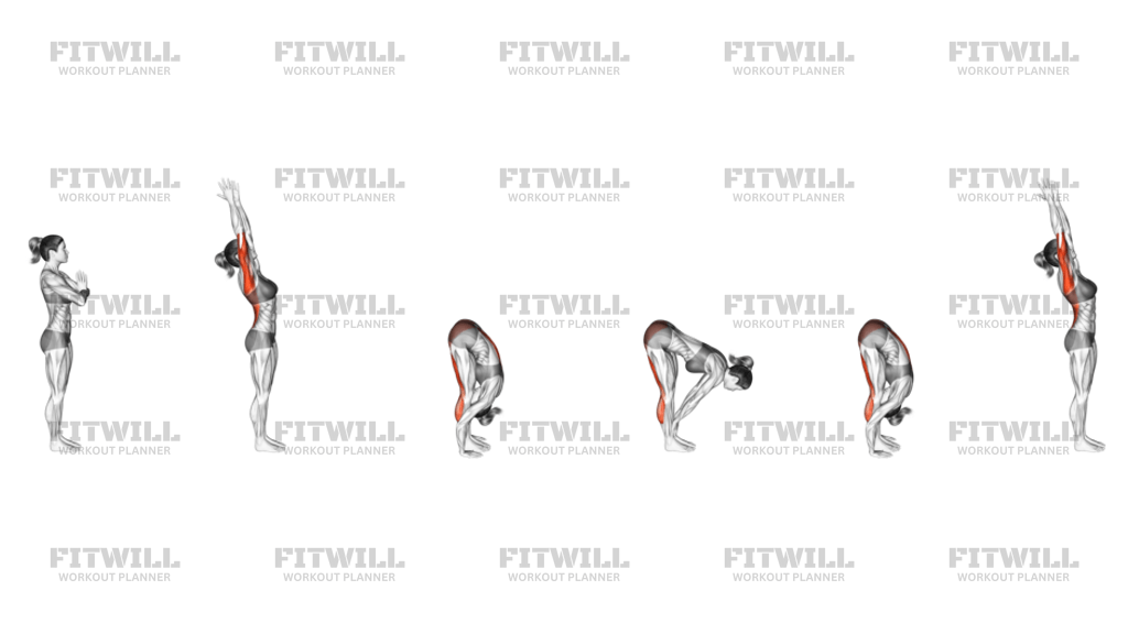 How to do Half Sun Salutation: Techniques, Benefits, Tips & Tricks ...