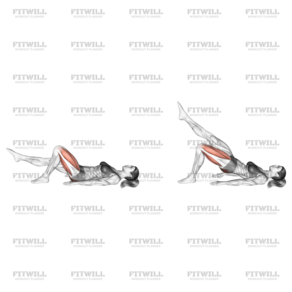 Single Straight Leg Glute Bridge Hold (left): Exercise Guide, Video ...