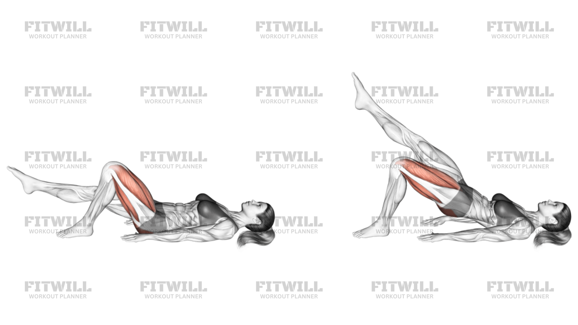 Single Straight Leg Glute Bridge Hold (left): Exercise Guide, Video ...
