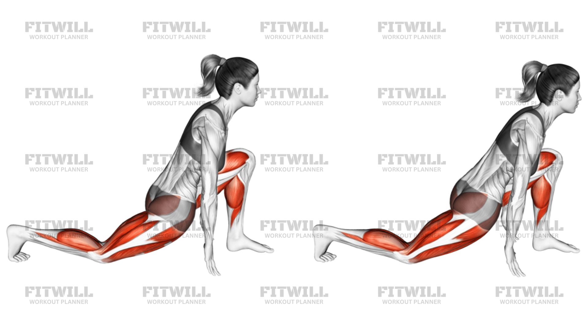 Low Lunge (left): Exercise Guide, Video, Techniques, Benefits, How to ...