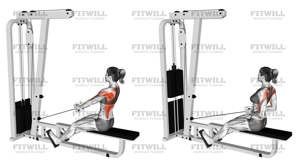 Remo Bajo Sentado Con Cable Y Barra En V: Video de Ejercicio | Fitwill
